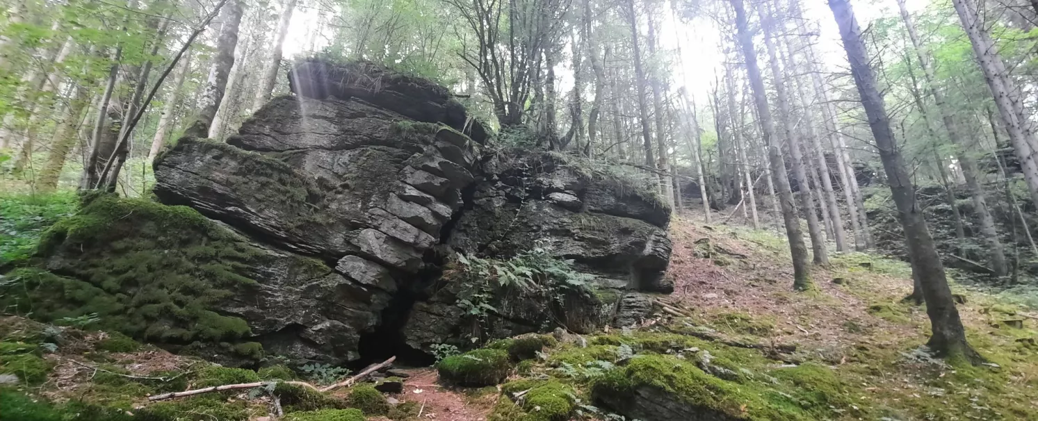Promenade des Grands bois à Baileux | Province de Hainaut